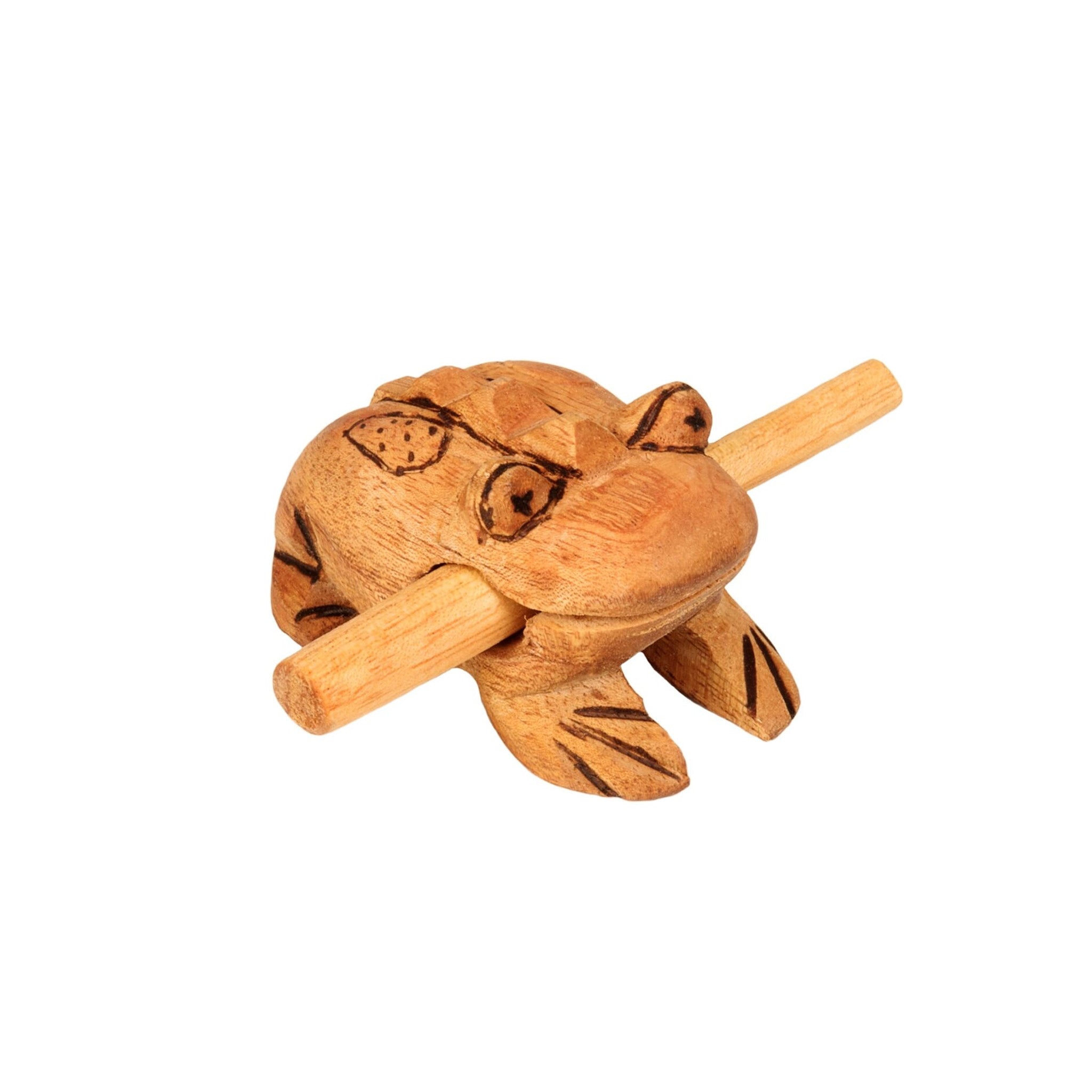 Drums for Schools frog scraper - Small